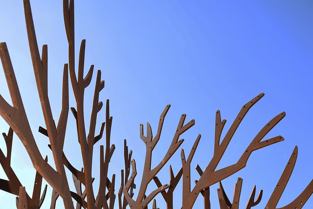 What are memorial trees | Memorial-Trees