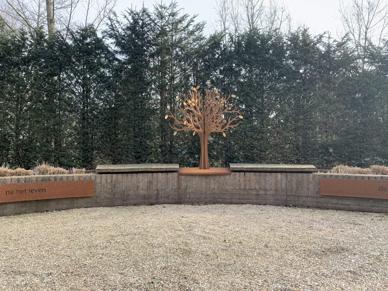 Sizes for all requirements | Memorial-trees.co.uk